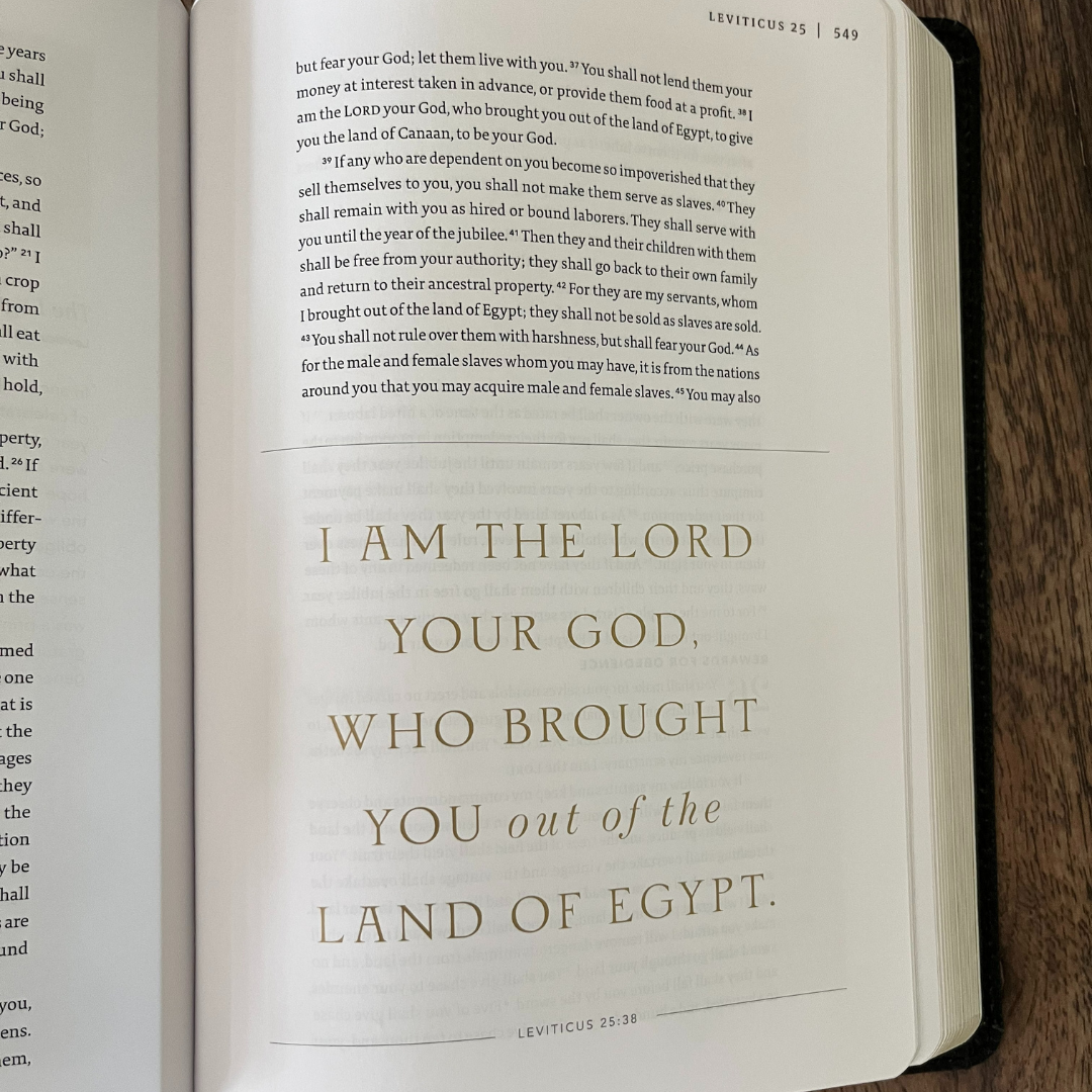 The Word on Fire Bible: The Pentateuch